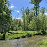 Saunders Springs Nature Preserve Loop, Kentucky - 400 Reviews, Map ...