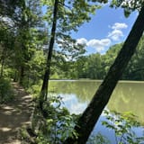 Saunders Springs Nature Preserve Loop, Kentucky - 400 Reviews, Map ...