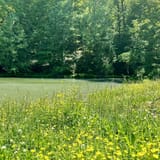 Saunders Springs Nature Preserve Loop, Kentucky - 400 Reviews, Map ...