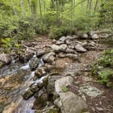 Riprap Trail , Virginia - 1,671 Reviews, Map | AllTrails