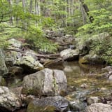 Riprap Trail , Virginia - 1,679 Reviews, Map | AllTrails