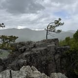 Riprap Trail , Virginia - 1,679 Reviews, Map | AllTrails