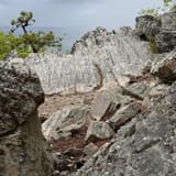 Riprap Trail , Virginia - 1,679 Reviews, Map | AllTrails
