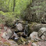 Riprap Trail , Virginia - 1,679 Reviews, Map | AllTrails