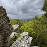 Riprap Trail , Virginia - 1,679 Reviews, Map | AllTrails