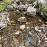 Riprap Trail , Virginia - 1,608 Reviews, Map | AllTrails