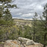 Ute Valley Park Loop Trail, Colorado - 2,694 Reviews, Map | AllTrails