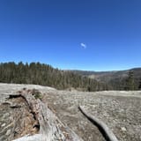 Muir Grove Trail, California - 382 Reviews, Map | AllTrails
