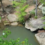 Jackson Falls Trail, Illinois - 784 Reviews, Map | AllTrails