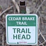 Cedar Ridge Outer Loop, Texas - 2,143 Reviews, Map | AllTrails