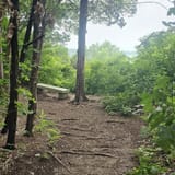 Cedar Ridge Outer Loop, Texas - 2,143 Reviews, Map | AllTrails