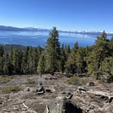 Tahoe Rim Trail to Picnic Rock Viewpoint, California - 3,294 Reviews, Map | AllTrails