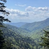 Newfound Gap Road Drive, Tennessee - 438 Reviews, Map | AllTrails