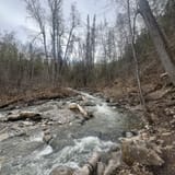 Washington Park Loop, Oregon - 1,685 Reviews, Map | AllTrails