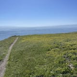 Iceberg Point Trail, Washington - 352 Reviews, Map | AllTrails