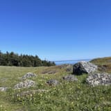 Iceberg Point Trail, Washington - 352 Reviews, Map | AllTrails
