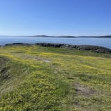 Iceberg Point Trail, Washington - 352 Reviews, Map | AllTrails