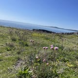 Iceberg Point Trail, Washington - 336 Reviews, Map | AllTrails