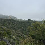 Inspiration Point Loop, California - 4,307 Reviews, Map | AllTrails