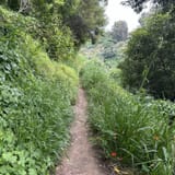 Inspiration Point Loop, California - 4,276 Reviews, Map | AllTrails