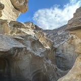 Wiregrass Canyon, Utah - 159 Reviews, Map | AllTrails