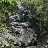 Reef Bay Trail, Saint John, US Virgin Islands - 1,096 Reviews, Map ...