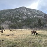 Cub Lake Loop, Colorado - 2,035 Reviews, Map | AllTrails