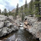 Cub Lake Loop, Colorado - 2,035 Reviews, Map | AllTrails