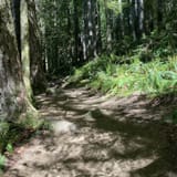 Heybrook Lookout Trail, Washington - 4,825 Reviews, Map | AllTrails