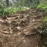 Makiki Valley Loop, Oahu, Hawaii - 5,803 Reviews, Map | AllTrails