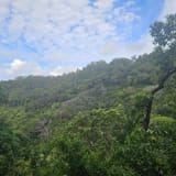 Makiki Valley Loop, Oahu, Hawaii - 5,803 Reviews, Map | AllTrails