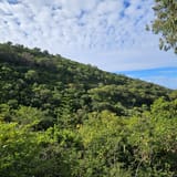 Makiki Valley Loop, Oahu, Hawaii - 5,803 Reviews, Map | AllTrails