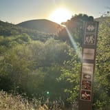 Dragonfly Trail, Arizona - 1,344 Reviews, Map | AllTrails