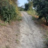 Murphy Ranch Trail , California - 1,495 Reviews, Map | AllTrails