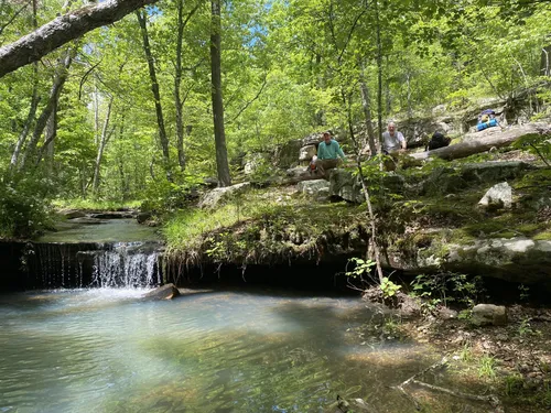 Best Forest Trails in Roby | AllTrails