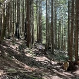 Mount Fromme via St. Georges Trail, British Columbia, Canada - 1,264 ...