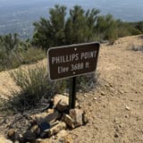 Altadena Crest Trail, California - 662 Reviews, Map | AllTrails