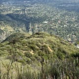 Altadena Crest Trail, California - 662 Reviews, Map | AllTrails