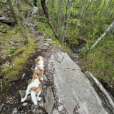 Surprise Lake Loop, New Jersey - 1,476 Reviews, Map | AllTrails
