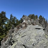 McClellan Butte Trail, Washington - 1,113 Reviews, Map | AllTrails