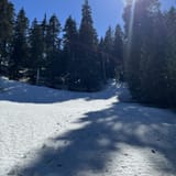 Bald Mountain from Lolo Pass Trail, Oregon - 1,793 Reviews, Map | AllTrails