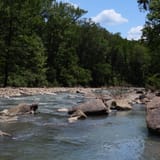 Butterfield Hiking Trail, Arkansas - 991 Reviews, Map | AllTrails