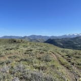 Patterson Mountain Trail, Washington - 438 Reviews, Map | AllTrails