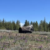 Colockum Road, Washington - 23 Reviews, Map | AllTrails