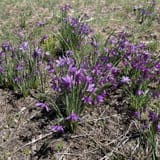 Colockum Road, Washington - 23 Reviews, Map | AllTrails