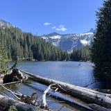 Greider Lakes Trail, Washington - 640 Reviews, Map | AllTrails