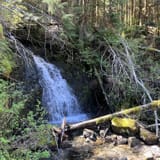 Greider Lakes Trail, Washington - 640 Reviews, Map | AllTrails