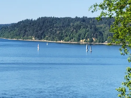 Best Beach Trails in Point Defiance Park | AllTrails