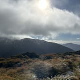 Mount Holdsworth Jumbo Circuit, Wellington, New Zealand - 88 Reviews ...