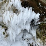 Mount Holdsworth Jumbo Circuit, Wellington, New Zealand - 86 Reviews ...